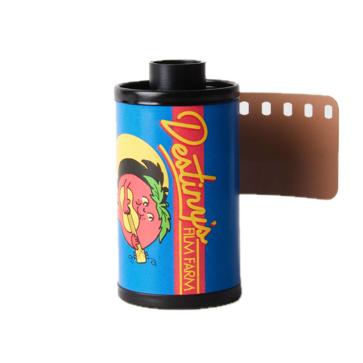 Nightshade - ISO 500T – Destiny's Film Farm