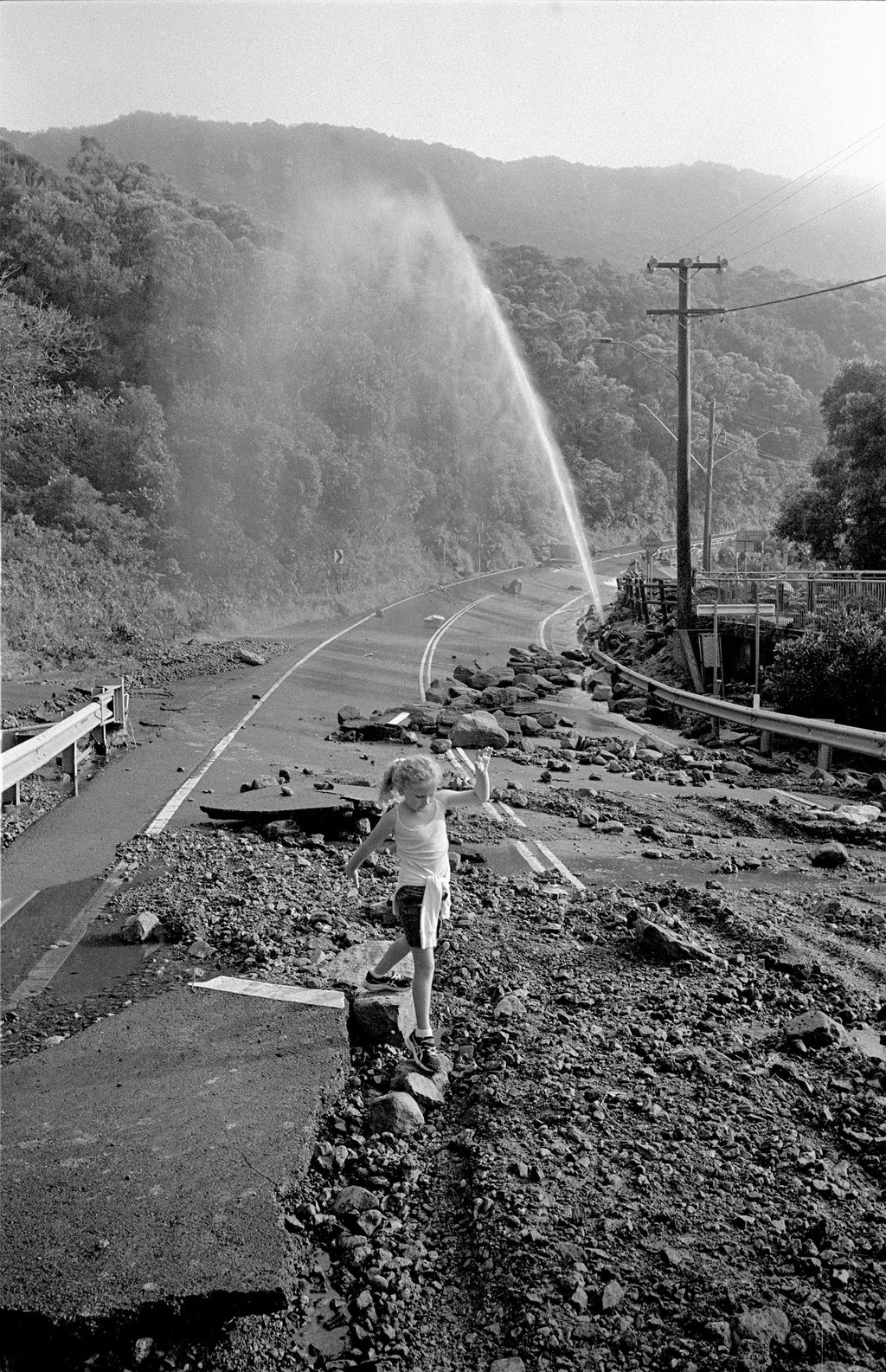 Double Agent - ISO 250 – Destiny's Film Farm